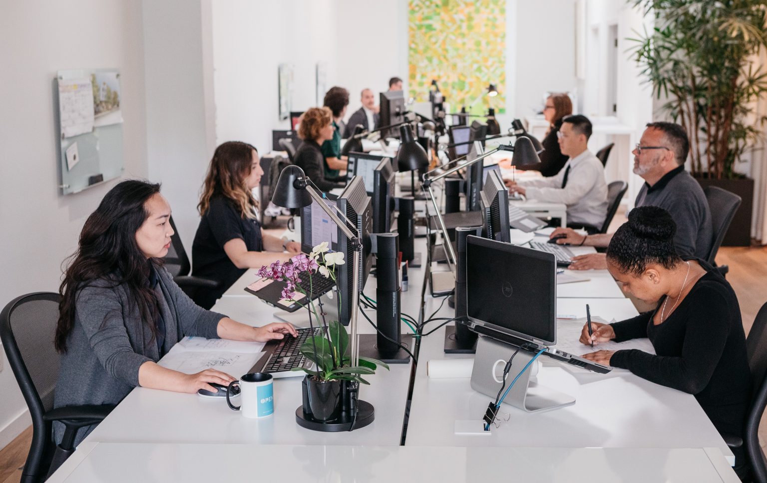 Office - OpenScope Studio