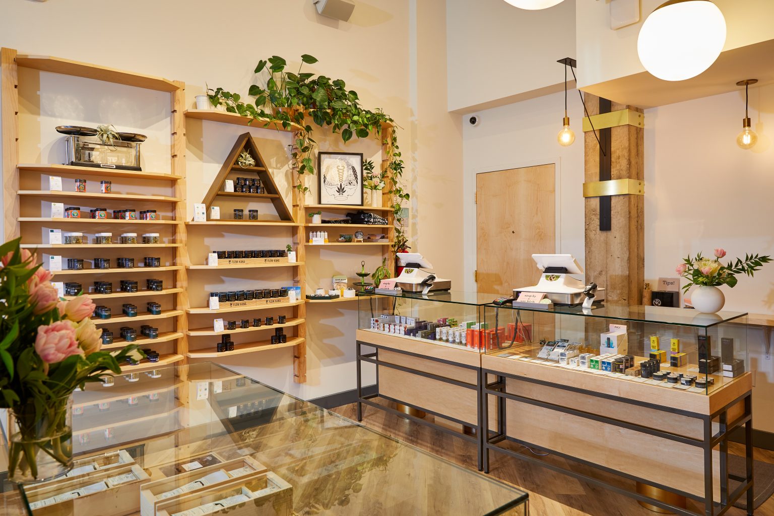 Vapor Room - OpenScope Studio