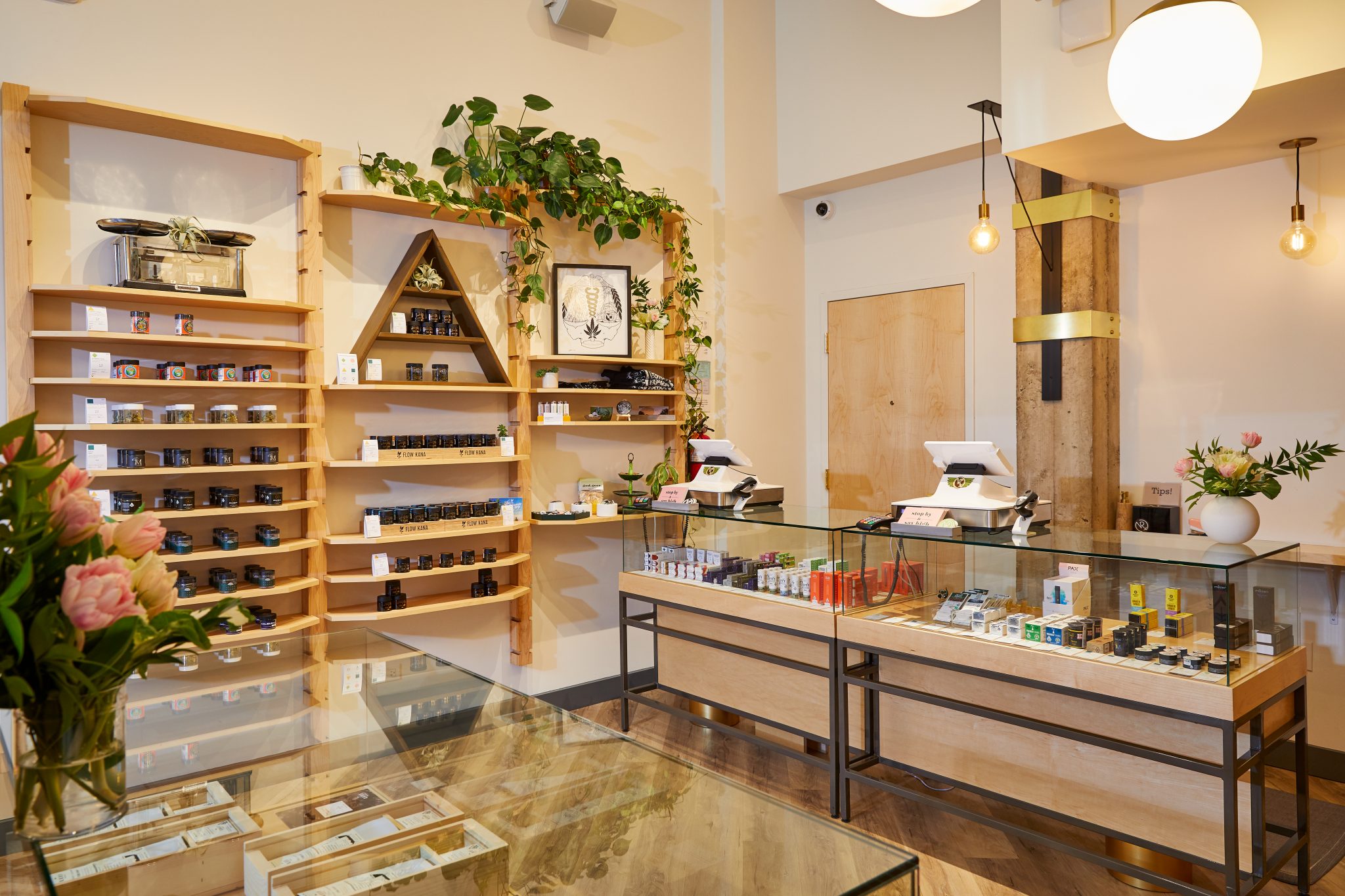 Vapor Room - OpenScope Studio